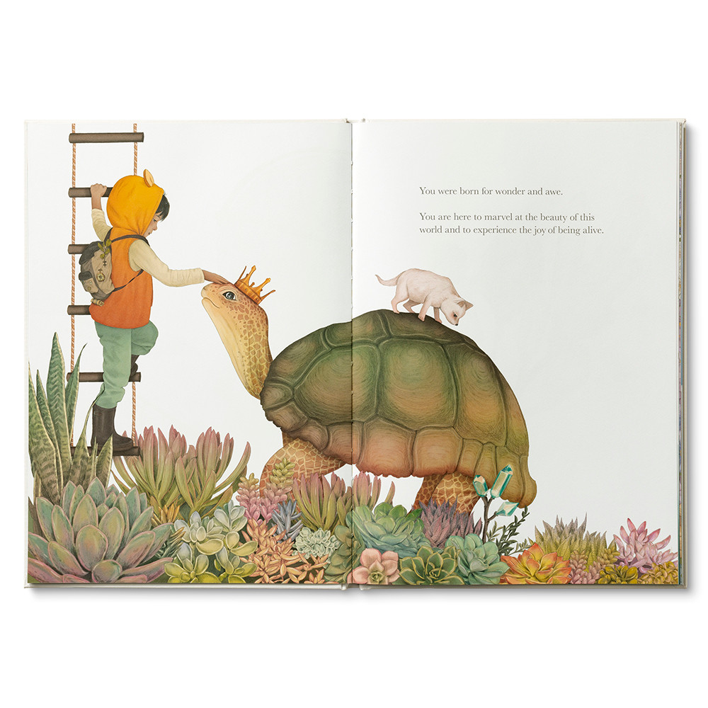 Why Not? by Kobi Yamada and Gabriella Barouch, Children's Illustrated ...