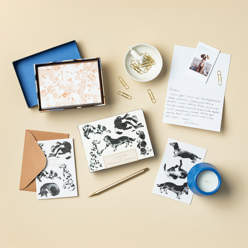 Shop Boxed Note Cards for Gifts and Sharing
