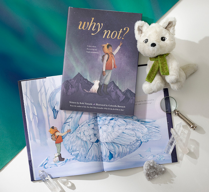 Why Not? by Kobi Yamada and Gabriella Barouch, Children's Illustrated ...