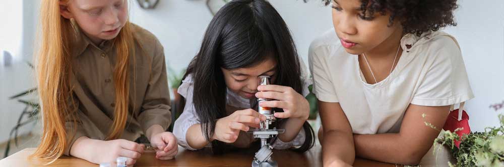 Biology in Your Own Back Yard! - Water X Scapes