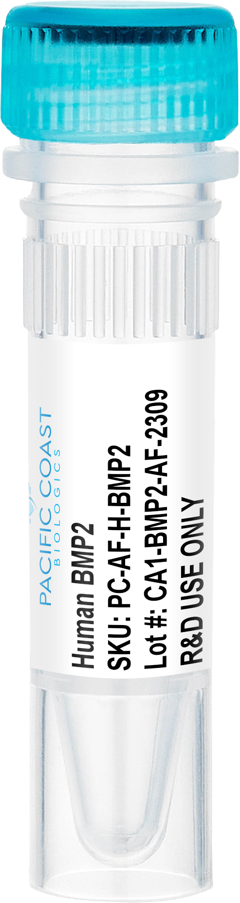 Human BMP-2 Animal-Free Recombinant Protein