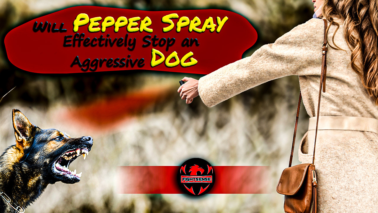Will Pepper Spray Effectively Stop an Aggressive Dog? - FIGHTSENSE