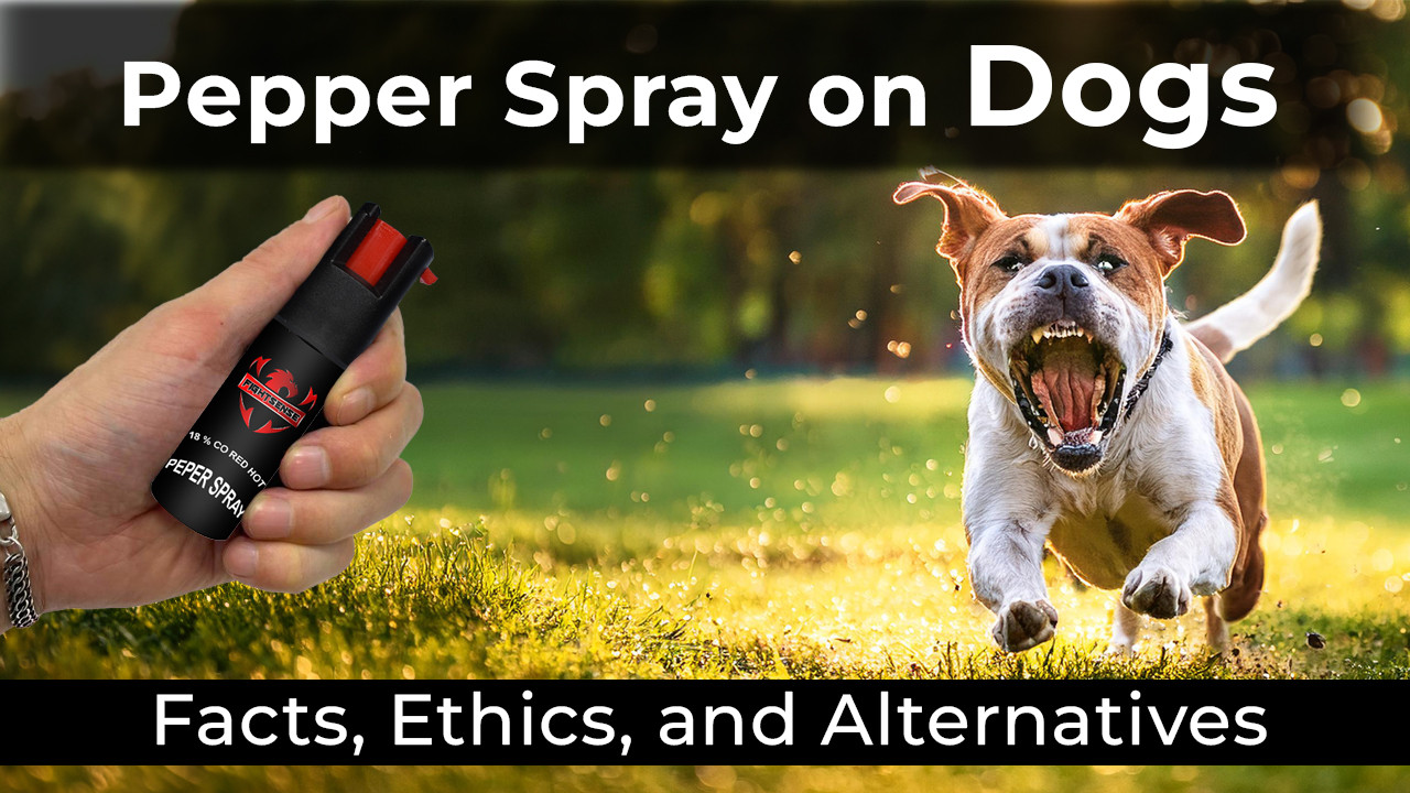 Pepper Spray on Dogs: Facts, Ethics, and Alternatives - FIGHTSENSE