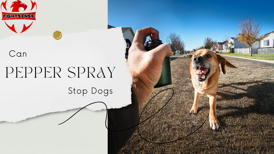Will Pepper Spray Stop a Dog? Effective and Ethical Use Guide - FIGHTSENSE