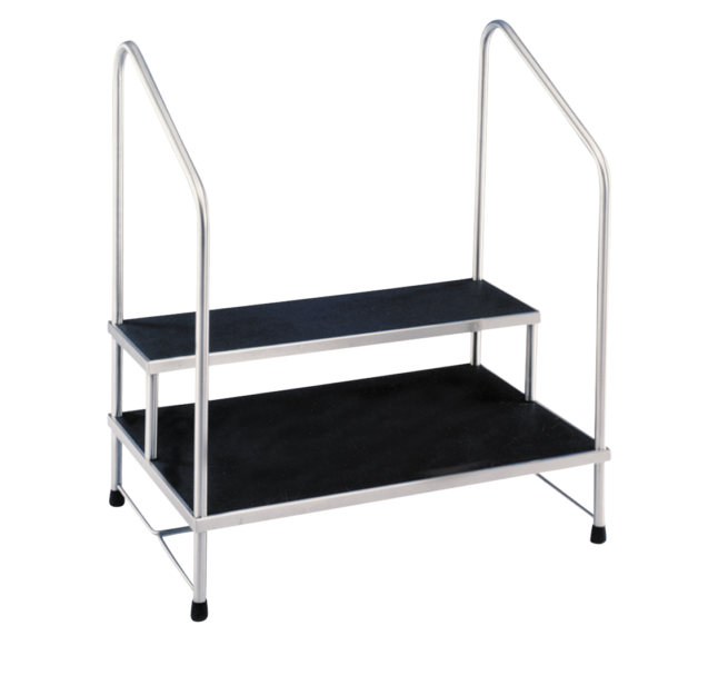 Cleanroom Step Stools | Stainless Steel, 2 Steps, 2 Hand Rails