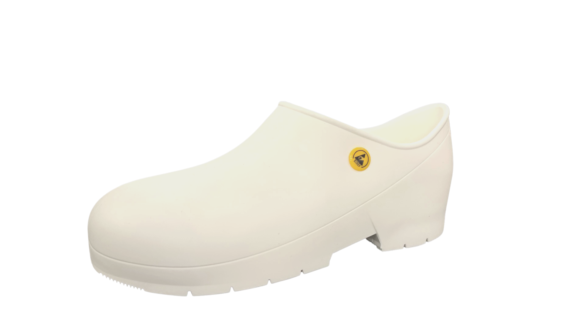 ESD Steel Toe Shoes | Cleanroom Shoes | Autoclavable Shoes