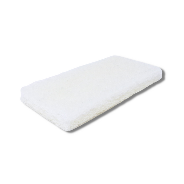 Cleanroom Sponges | Polyester, Poly-Mesh, Irradiated Sponges