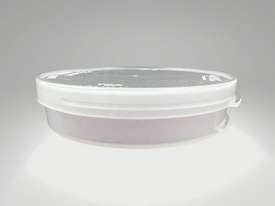 Wafer Jars, Natural Polypropylene, Fits 6" (150mm) Wafers, 1.5"High ...