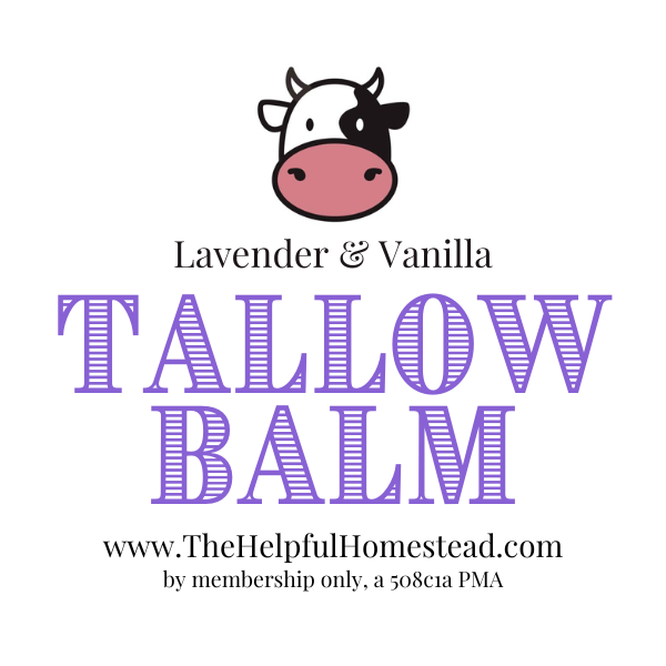Product Spotlight - Tallow Balm - Aimee's Homemade