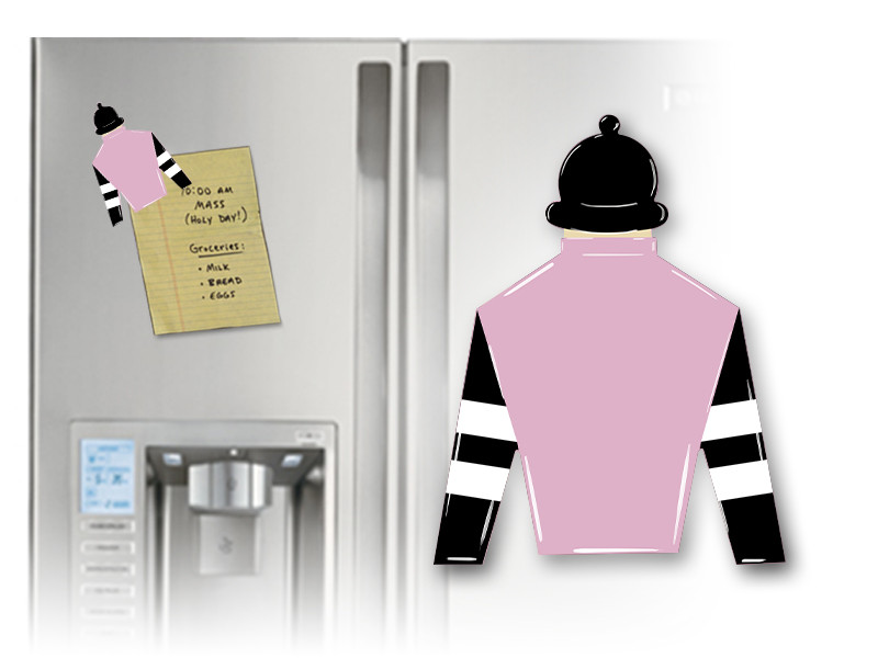 Affirmed Jockey Silk Helmet Magnet - Nelson Gifts