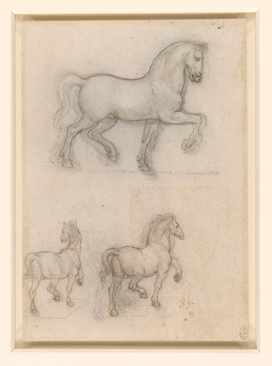Horse Studies - Leonardo Da Vinci - Nelson Gifts