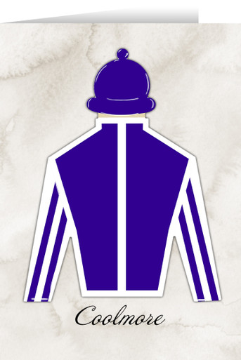 Coolmore 2 Silk Jockey Greeting Card