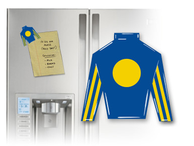Coolmore 1 Jockey Silk Magnet - Nelson Gifts