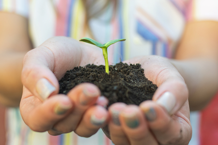 A History of Hemp Products: Why You Should Pay Attention - Science-Rite ...