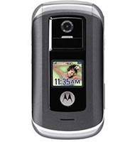 MOTOROLA-V1075-RB 900/1800 (EXPORT) - TG Wireless