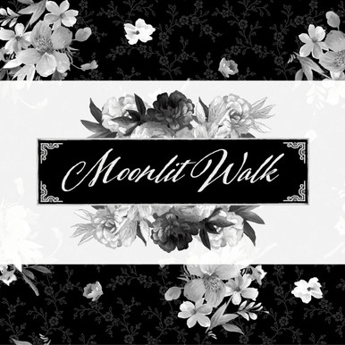Moonlit Walk