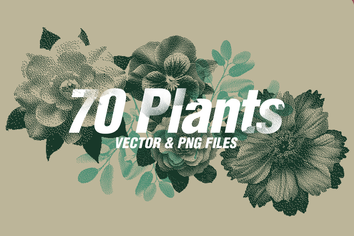 70 Botanic Dither Vector & PNG