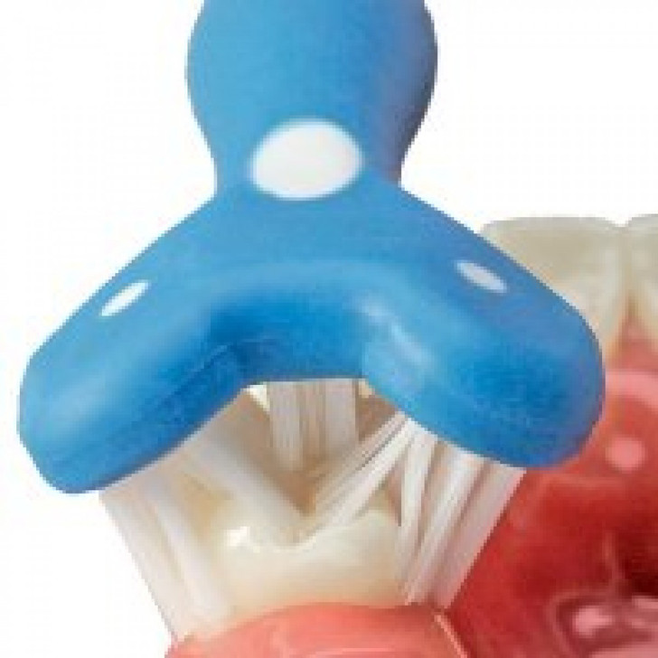 Surround Three-Sided Toothbrushes - Buy Surround Three-Sided ...