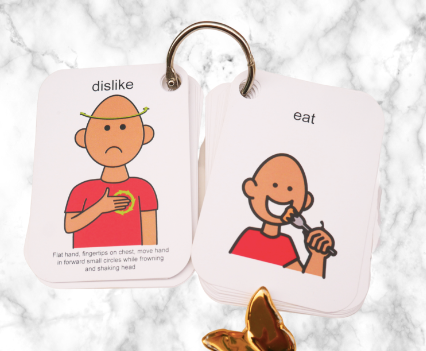 Sunshine Sign & Sing Mini Flashcards - Signs for Professionals - Buy ...