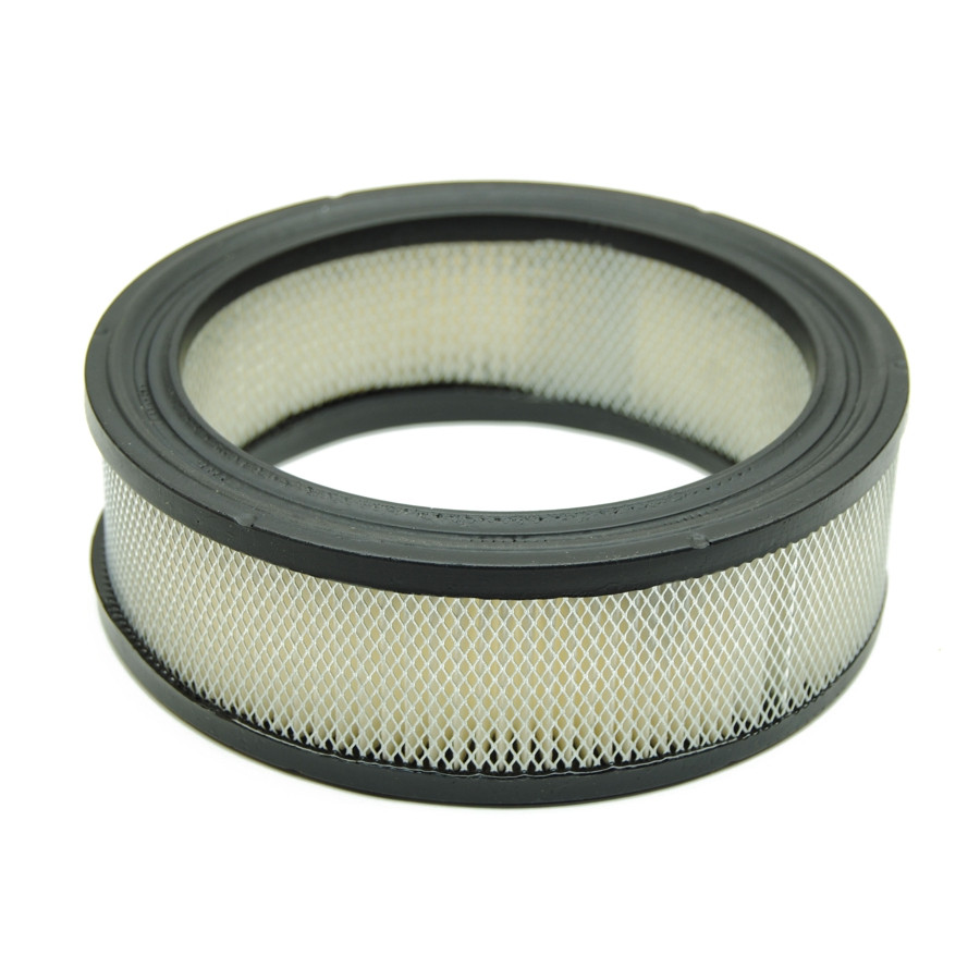 Engine Air Filter | P528231