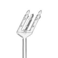 CARDETTE 12" 100/pk - SWFlorist