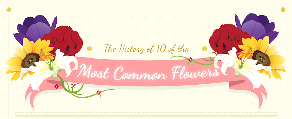 The History of 10 of the Most Common Flowers - SWFlorist