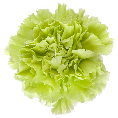 Carn. Sel. Green bmark