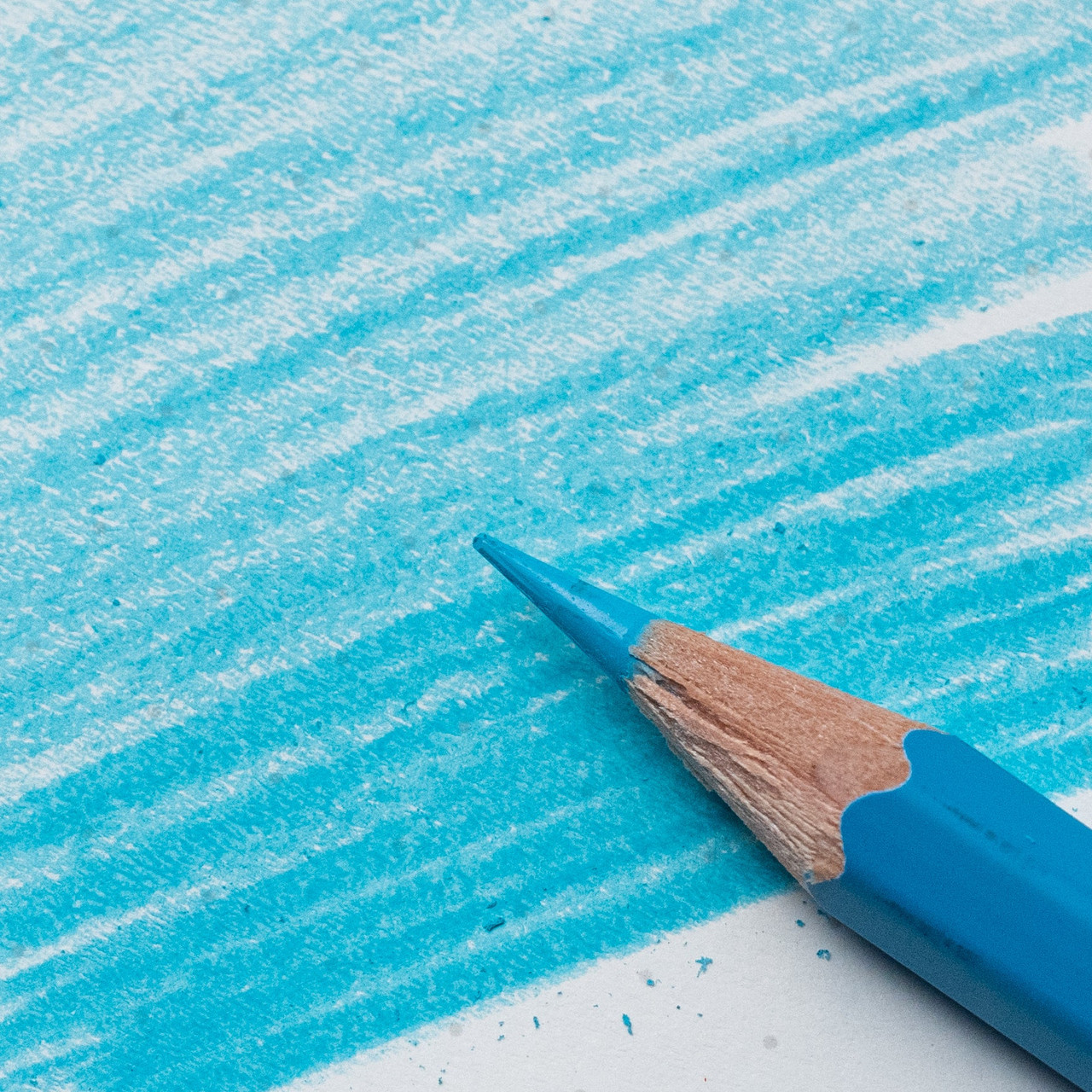 Blackwing Non-Photo Blue Set of 4 Pencils - Wet Paint Artists ...
