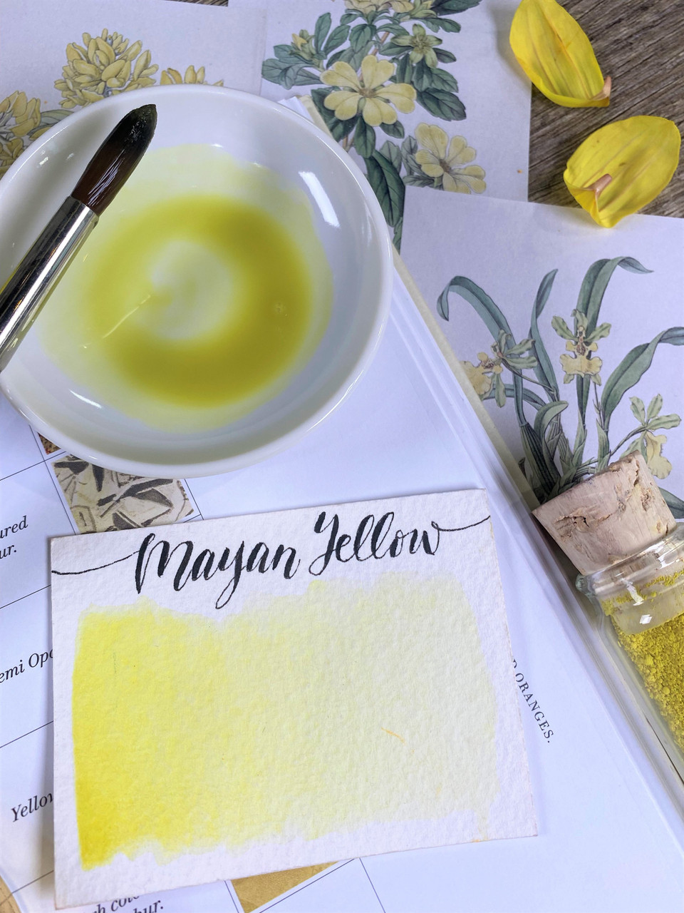 Stoneground Paint Watercolor 1/2 Pan Mayan Yellow - Wet Paint Artists ...