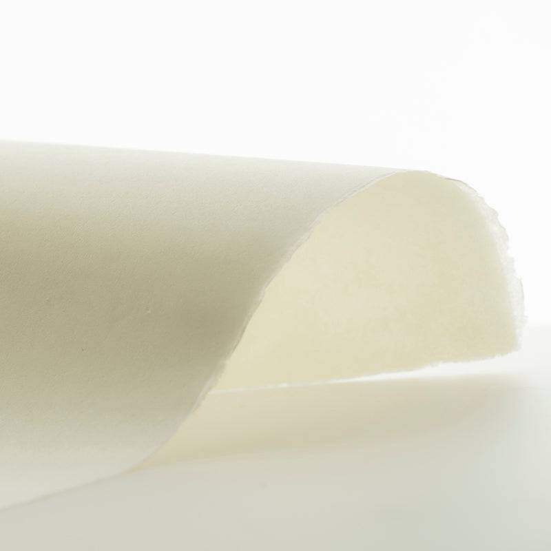 Awagami Editioning Fine Art Paper Shiramine Select 17x20" 110gsm Single ...