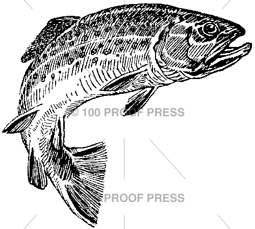 100 Proof Press Rubber Stamp Brook Trout - Wet Paint Artists' Materials ...