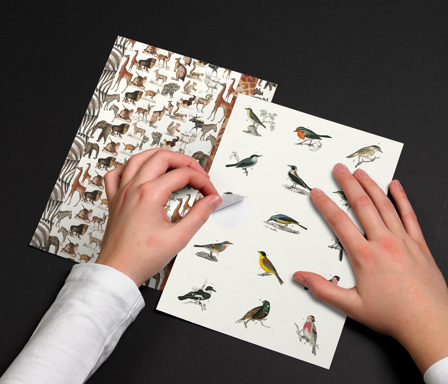 Pepin Press Labels, Stickers, and Tape Book Fauna - Wet Paint Artists ...