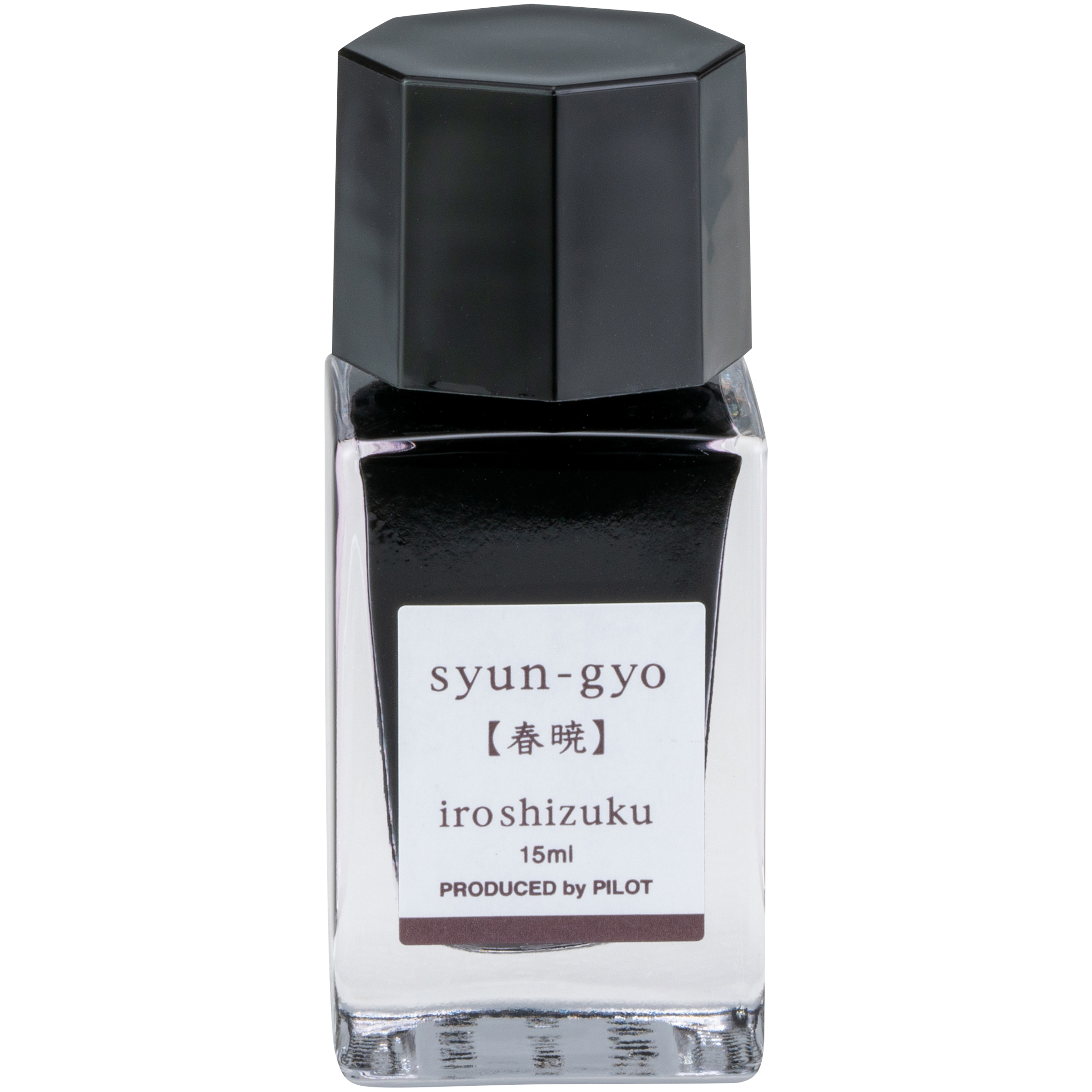 Pilot Iroshizuku Fountain Pen Ink 15ml Bottle Syun-Gyo - Wet Paint ...