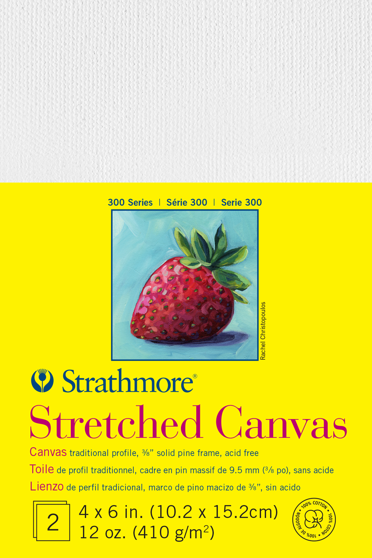 Strathmore 300 Series Stretched Canvas 4x6" 2 Pack - Wet Paint Artists ...