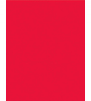 Pacon Premium Coated Poster Board 22x28