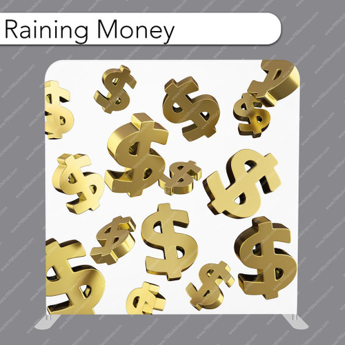 Pillow Cover Backdrop (Raining Money) - PB Backdrops