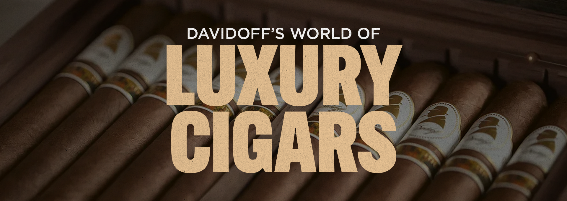 Davidoff Cigars: The Standard of Sophistication in the World of Luxury ...
