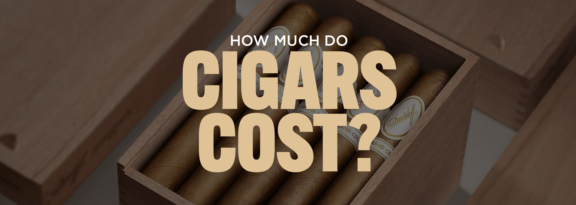 How Much Does a Cigar Cost? Understanding the Factors Behind Cigar ...