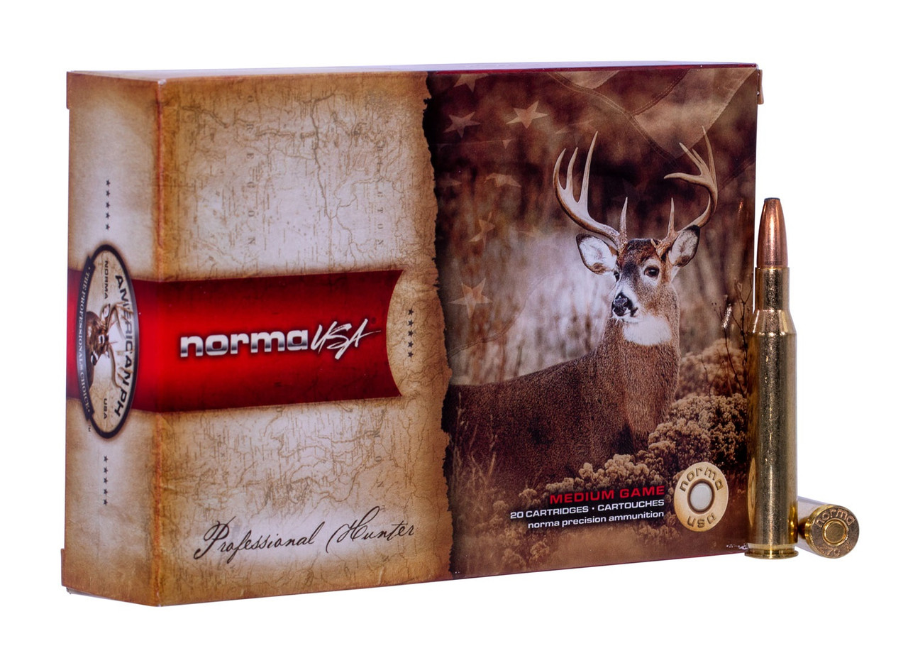 Norma 30-06 Ammunition 20174922 Professional Hunter 180 Grain Oryx ...