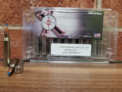 Ten Ring 25-06 Ammunition 100 Grain Ballistic Tip 20 rounds