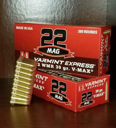 Winchester 22 Mag Ammunition X22MHLF 25 Grain Lead-Free Polymer Tip NTX ...