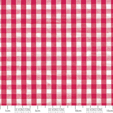 1/4" Gingham in Raspberry | per 10cm - Sew & Co