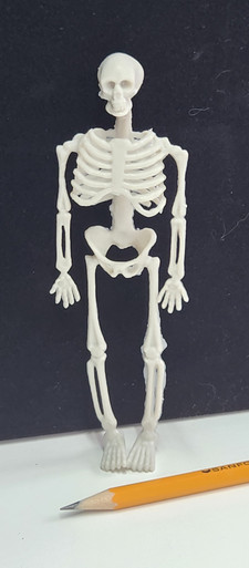 1/12 Scale Miniature Plastic Skeleton - Grandpa's Doll House