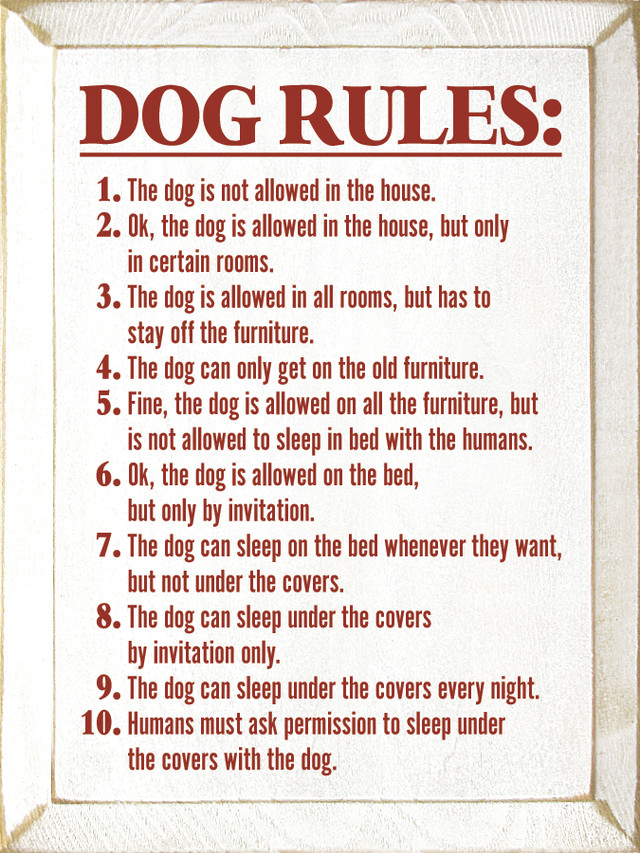 Dog Rules... | Funny Wood Sign With Saying