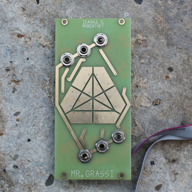 Ieaskul F. Mobenthey Mr Grassi Eurorack Noise & Random Module at Signal Sounds