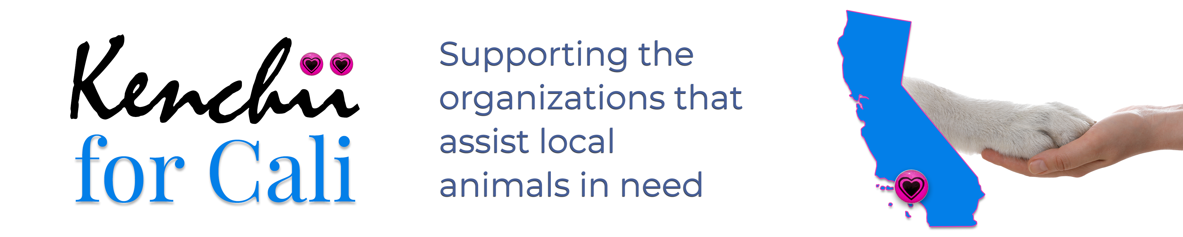 Kenchii Pet Grooming Shears | Clippers | and More!