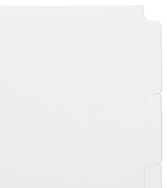 Blank Side 1/5th Cut Tabs Paper Tab - ExhibitIndexes.com