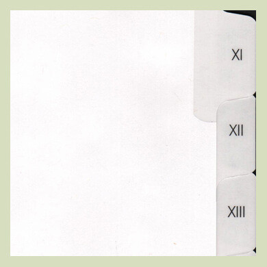 Roman Numerals Dividers XI - XX - ExhibitIndexes.com