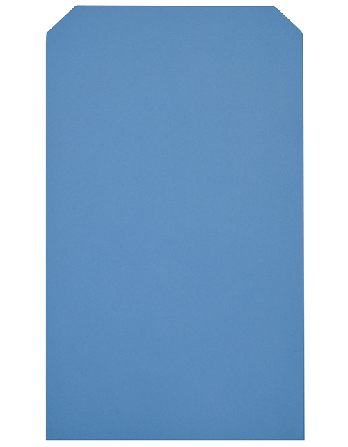 Southworth Manuscript Covers 41S Legal Size (9 X 15 1/2 ...