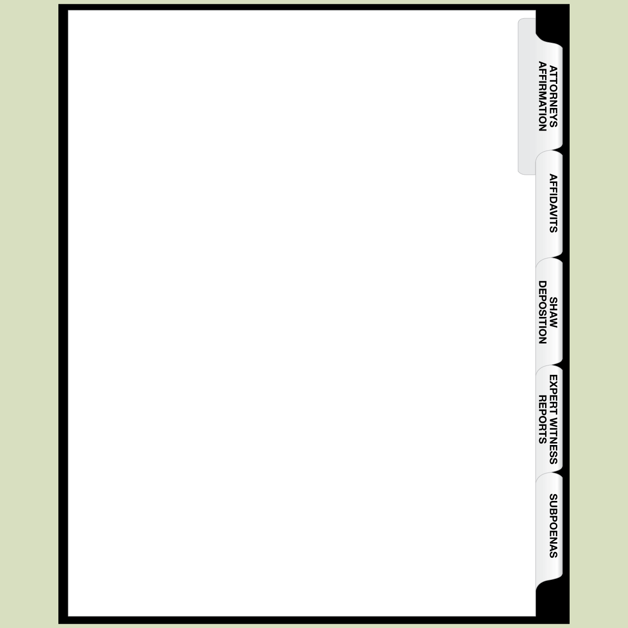 Wide Custom Printed 5 Division Side Tabs - ExhibitIndexes.com